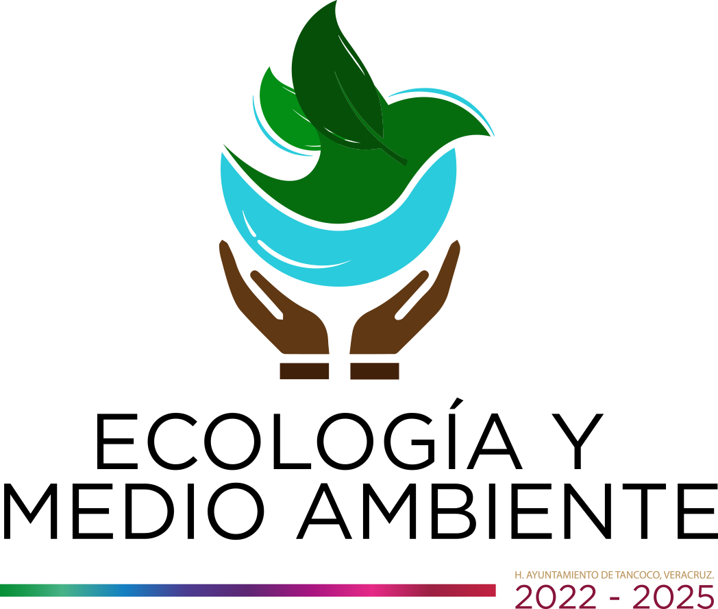 Municipio de Tancoco